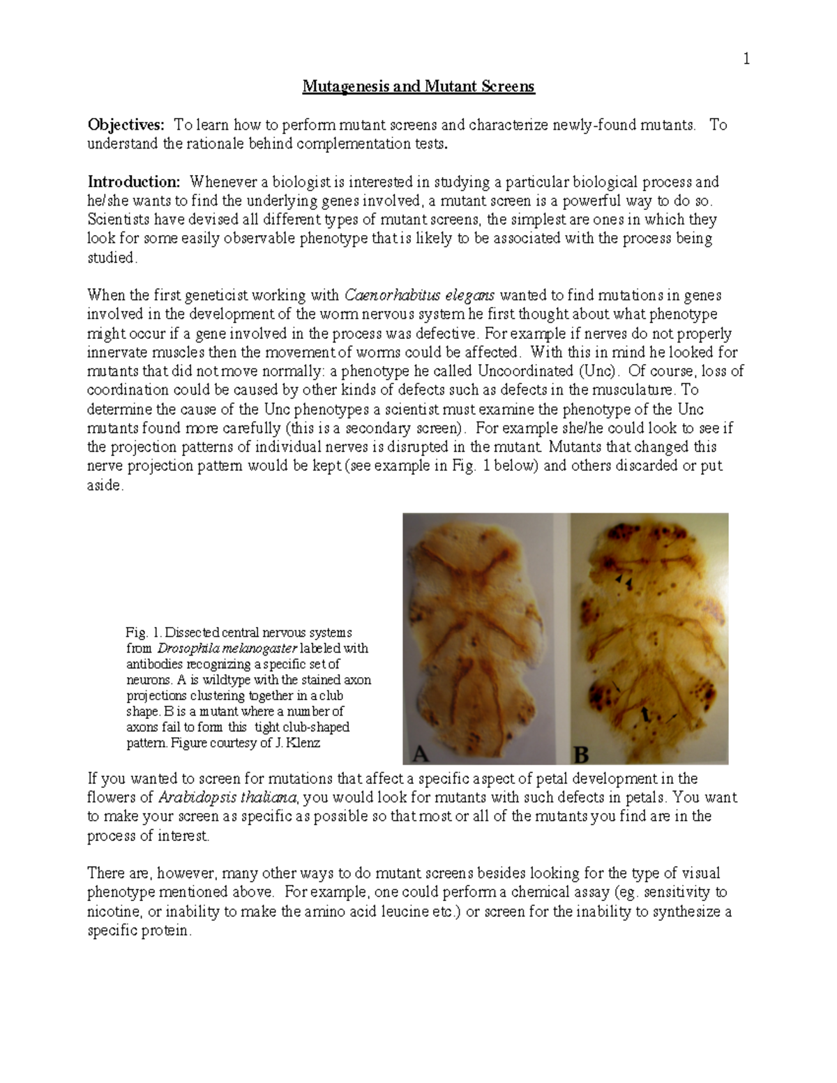 Biol 234 week 8 mutant screening reading - Mutagenesis and Mutant ...