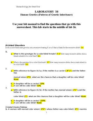 Human Biology Fetal Development Lab - Studocu