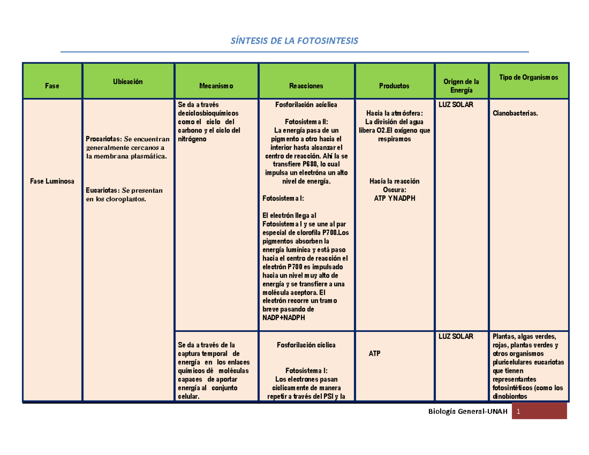 Tabla de la Fotosintesis - Biología General-UNAH 1 SÍNTESIS DE LA ...