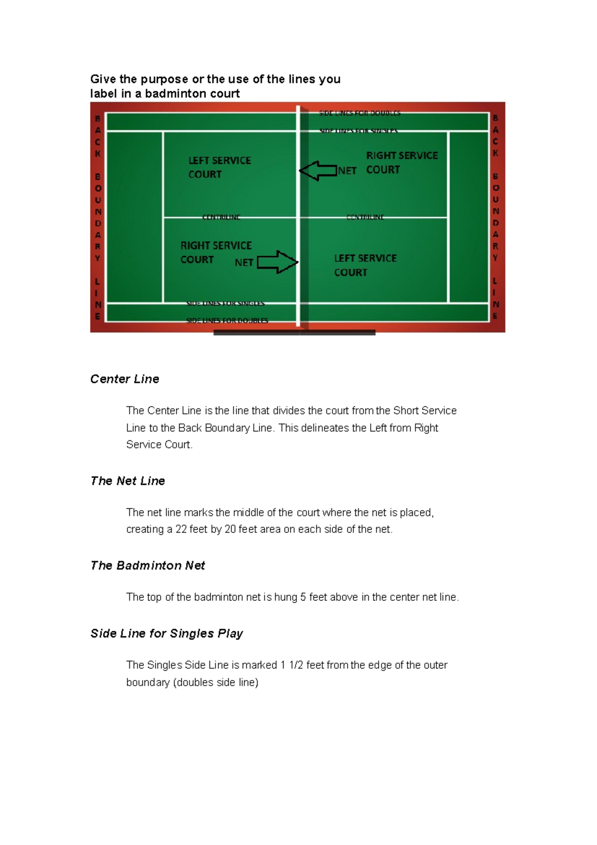 Elphye 003 Activity 6 - Give the purpose or the use of the lines you ...