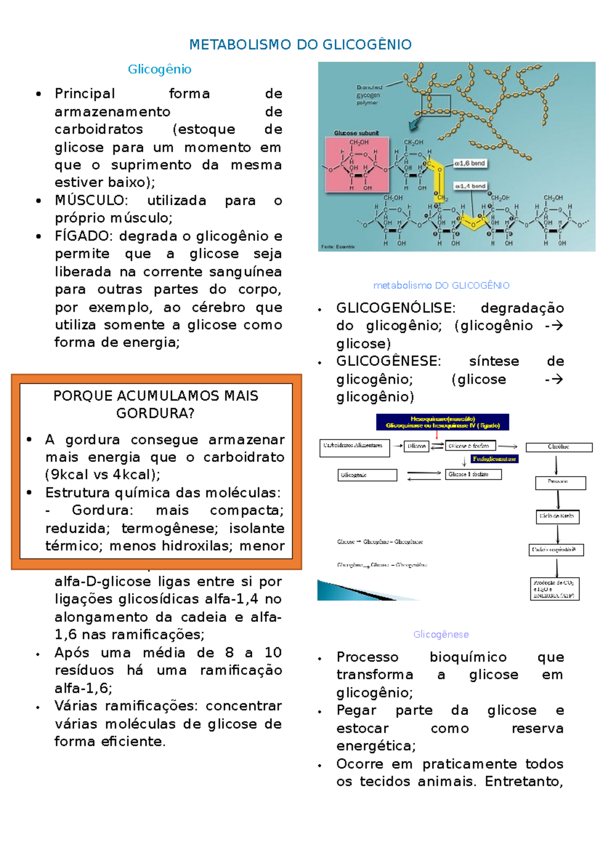 Metabolismo Do Glicogênio resumo - METABOLISMO DO GLICOGÊNIO Glicogênio ...