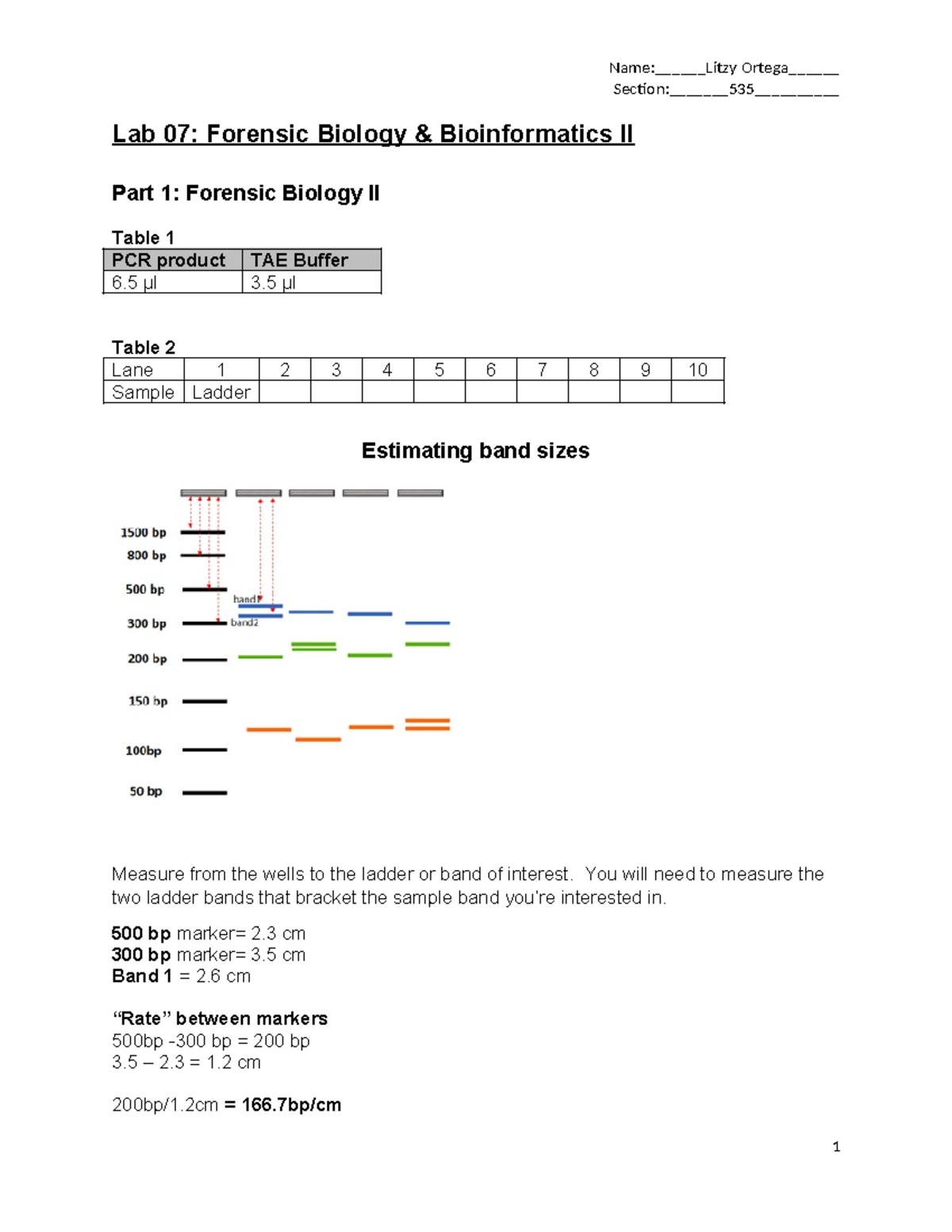 Forensic Biology Bioinformatics IILab protocolanddatasheet V4-1 ...