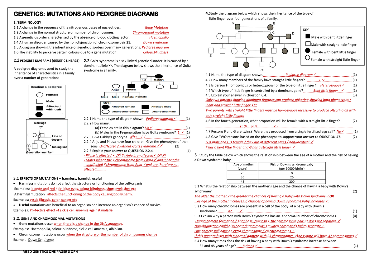 15.2 MEMO Genetics 1Pager 3of4 - MSED GENETICS ONE PAGER 3 OF 4 1 ...