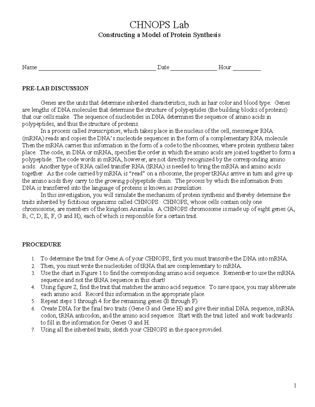 8.10 Chnops Lab Organism 2 - CHNOPS Lab Constructing a Model of Protein ...