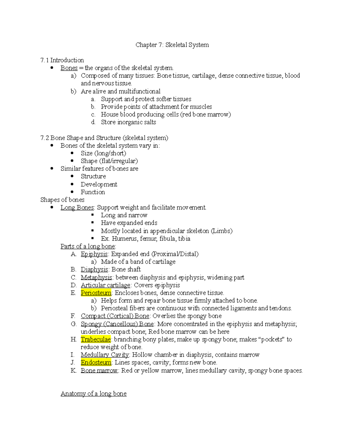 Chapter 7 Chapter 7 Skeletal System 7 Introduction Bones The Organs Chapter 7 Chapter 7 Skeletal System 7 Introduction Bones The Organs