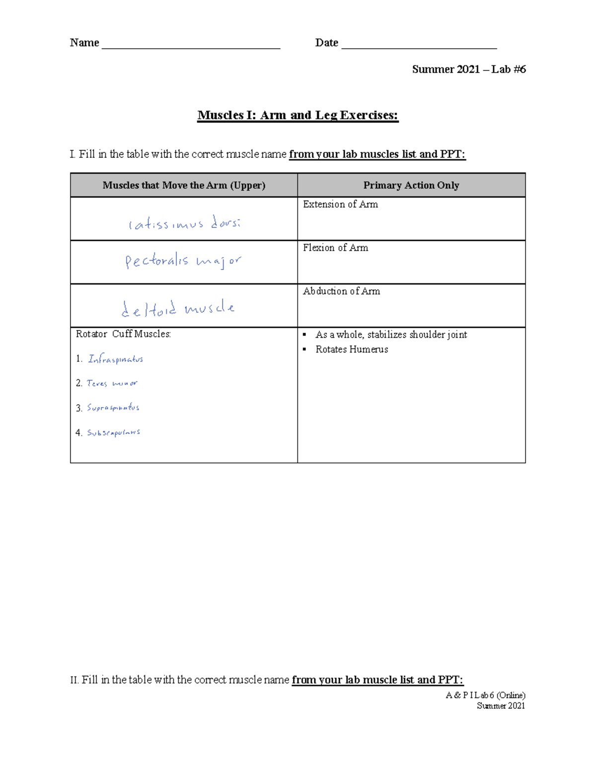 Lab 15 - My lab study assignments for labs 5, 6, and 7 - A & P I Lab 6 ...