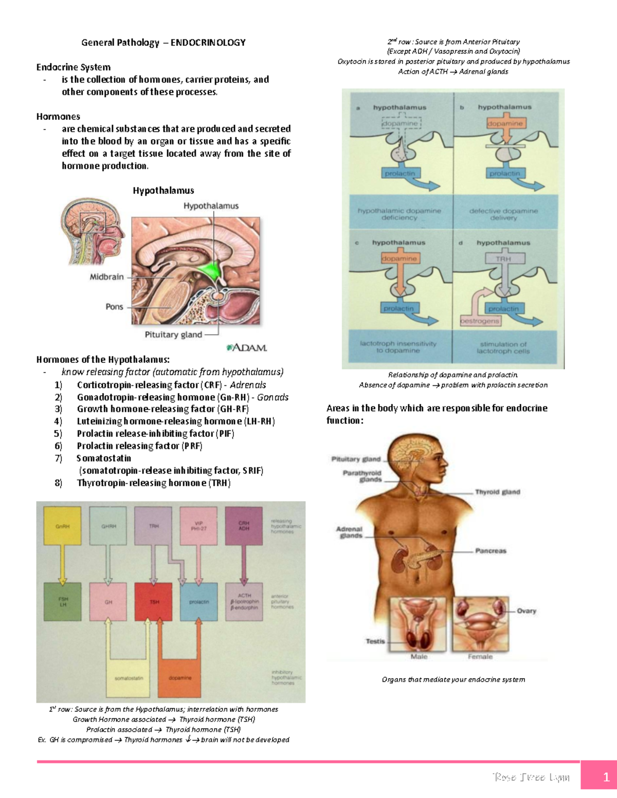 1 - Endocrinology - ana - General Pathology ENDOCRINOLOGY Endocrine ...