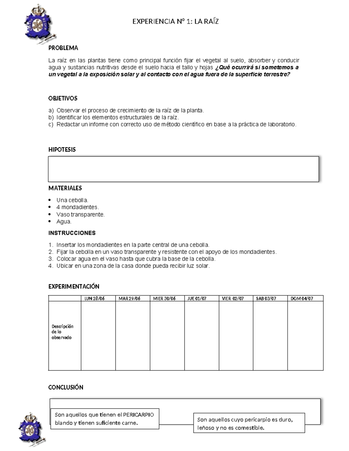 Caca brillante con penes volando - EXPERIENCIA N° 1: LA RAÍZ PROBLEMA ...