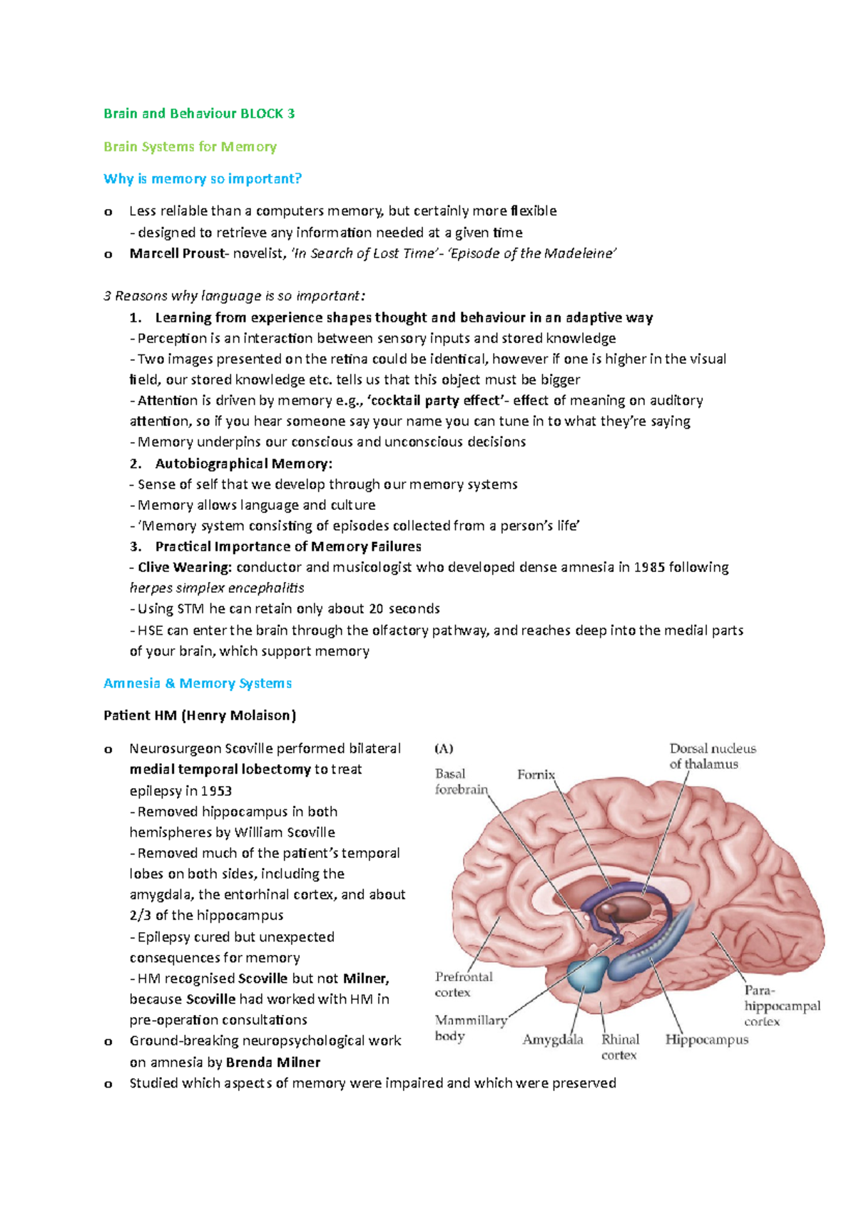 Brain and Behaviour Block 3 - Lecture 1 - PSY00002I - York - Studocu