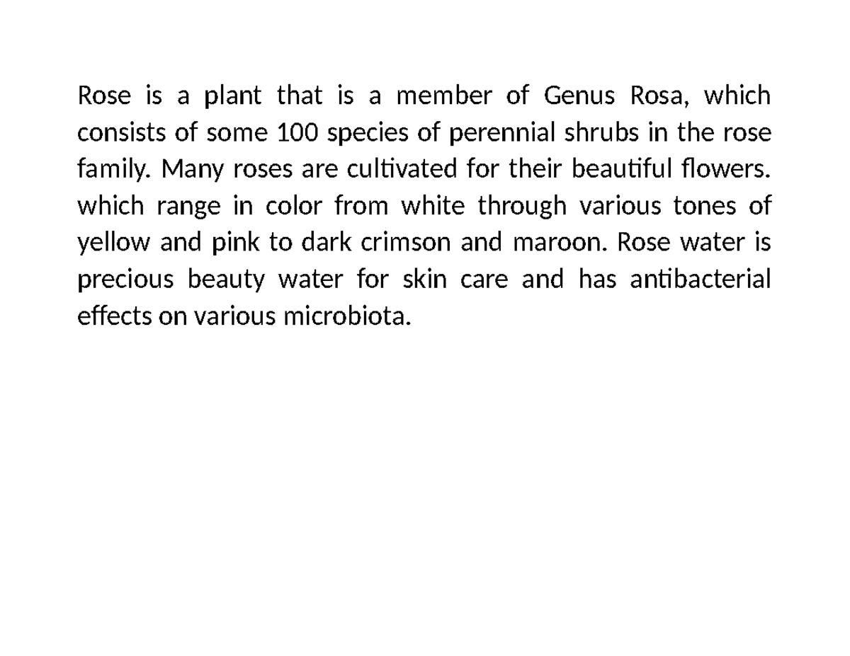 Rose is a plant that is a member of Genus Rosa - Many roses are ...