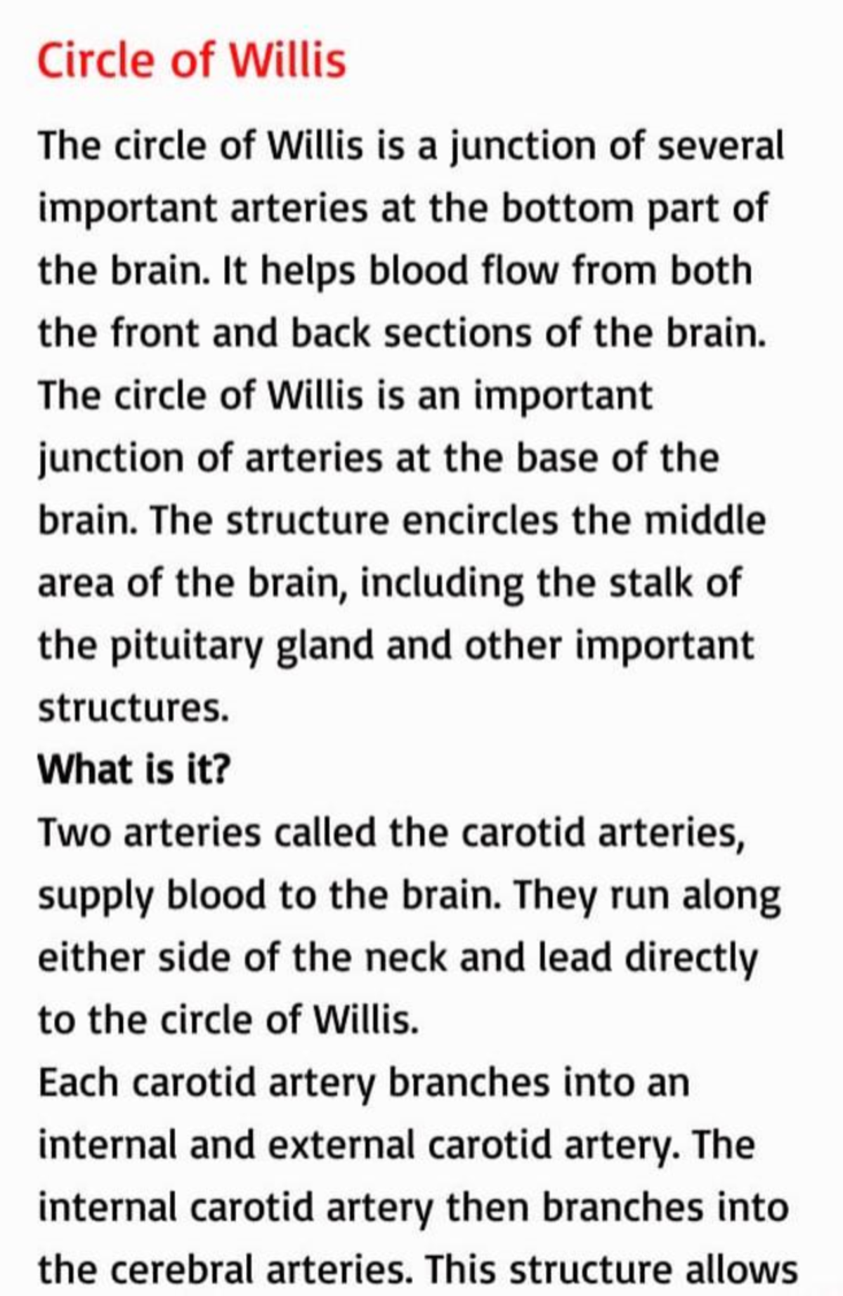 Circle of Willis pdf - short note - Bsc nursing - Studocu
