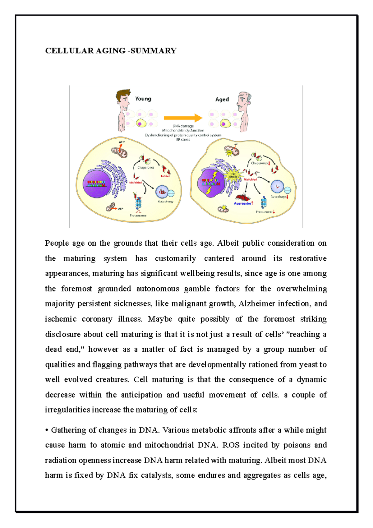 Cellular Aging - CELLULAR AGING -SUMMARY People age on the grounds that ...