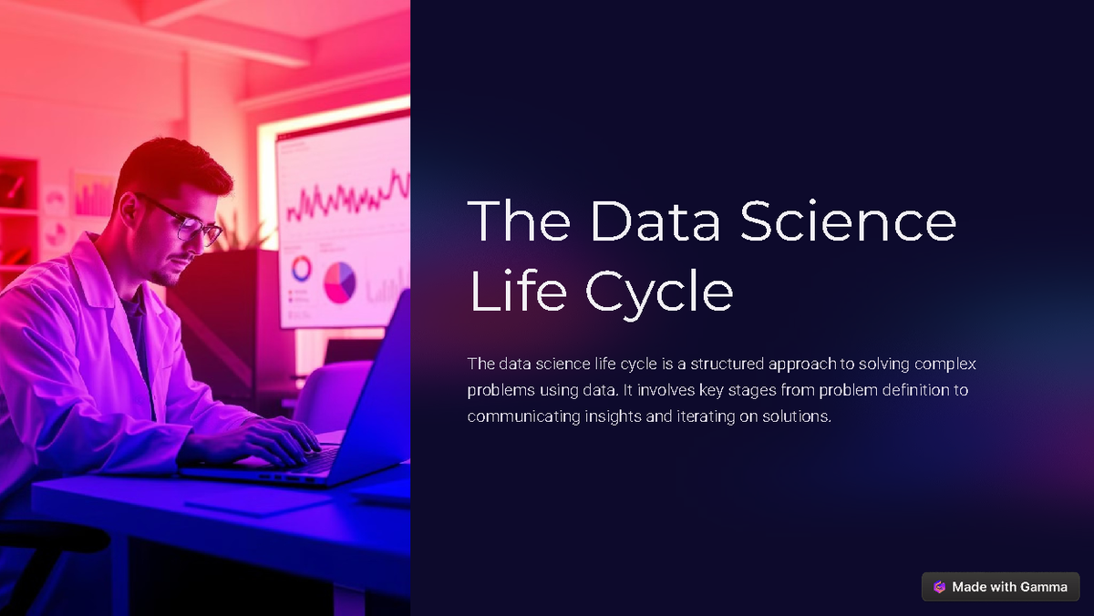 The Data Science Life Cycle - The Data Science Life Cycle The data ...