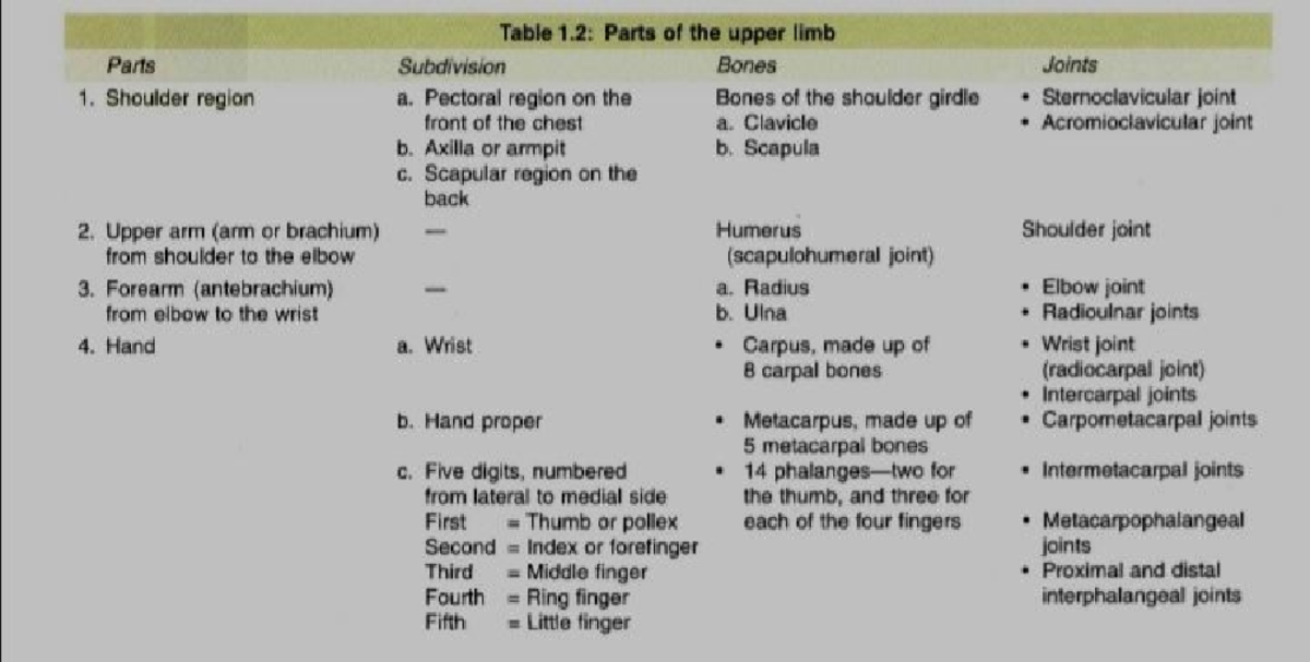 Stud 5 - Parts of upper limp - Physiotherapy - Studocu
