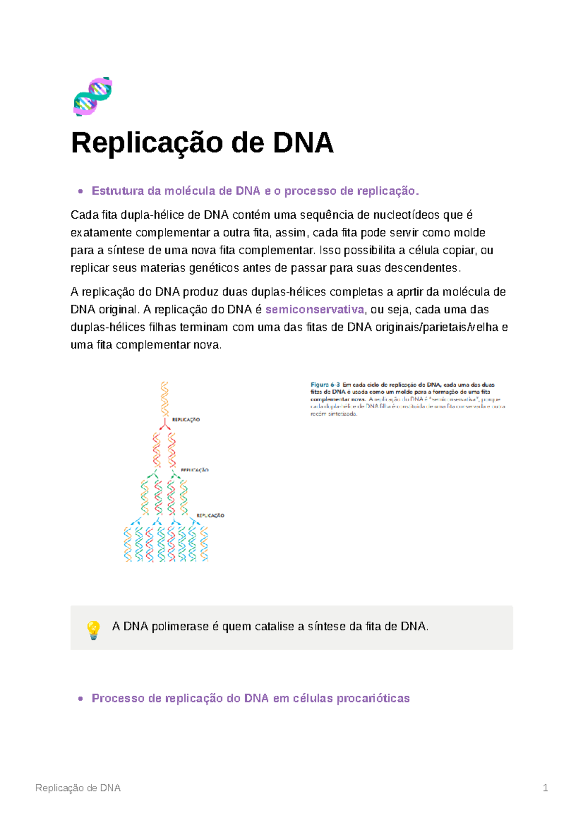 Replicao de DNA - Resumo da aula de biologia molecular sobre replicação ...