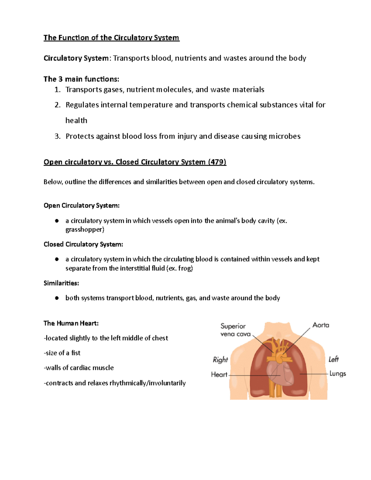 Function of Circulation - The Function of the Circulatory System ...