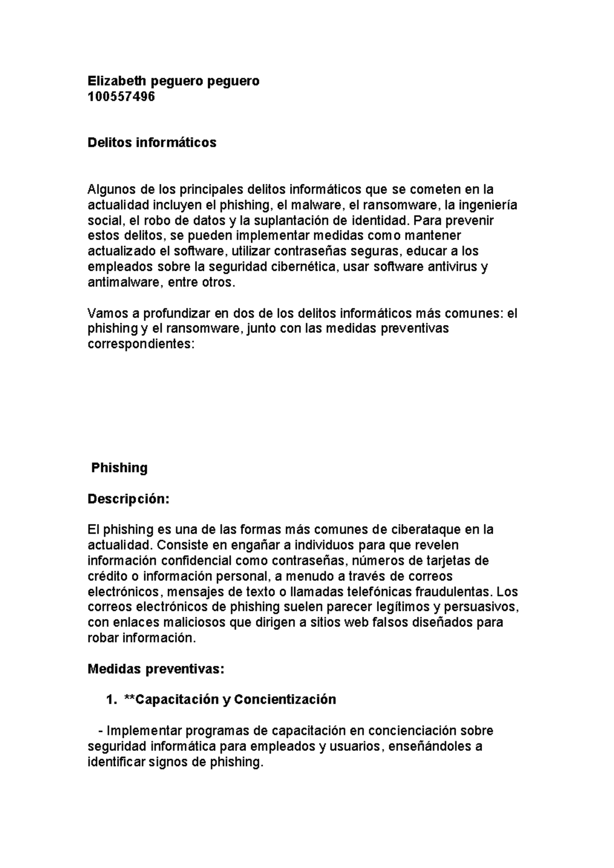 Delitos informáticos - Elizabeth peguero peguero 100557496 Delitos ...