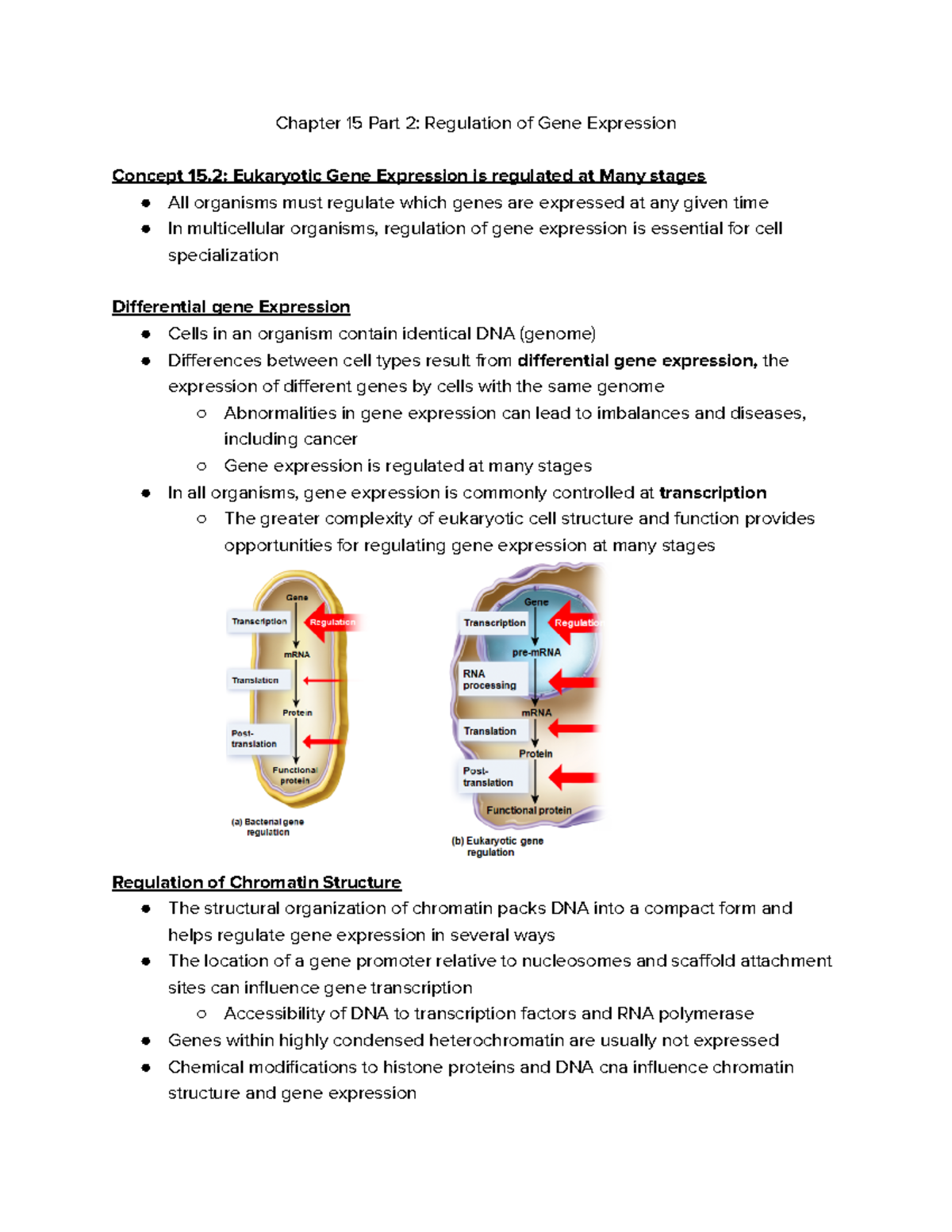 Chpt 15 Notes - Chapter 15 Part 2: Regulation of Gene Expression ...