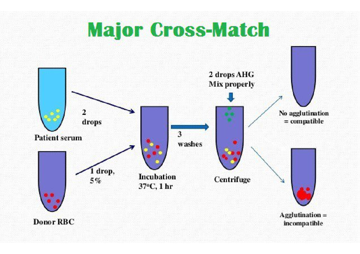 Crossmatch - lecture notes - Bsc MLT - Studocu