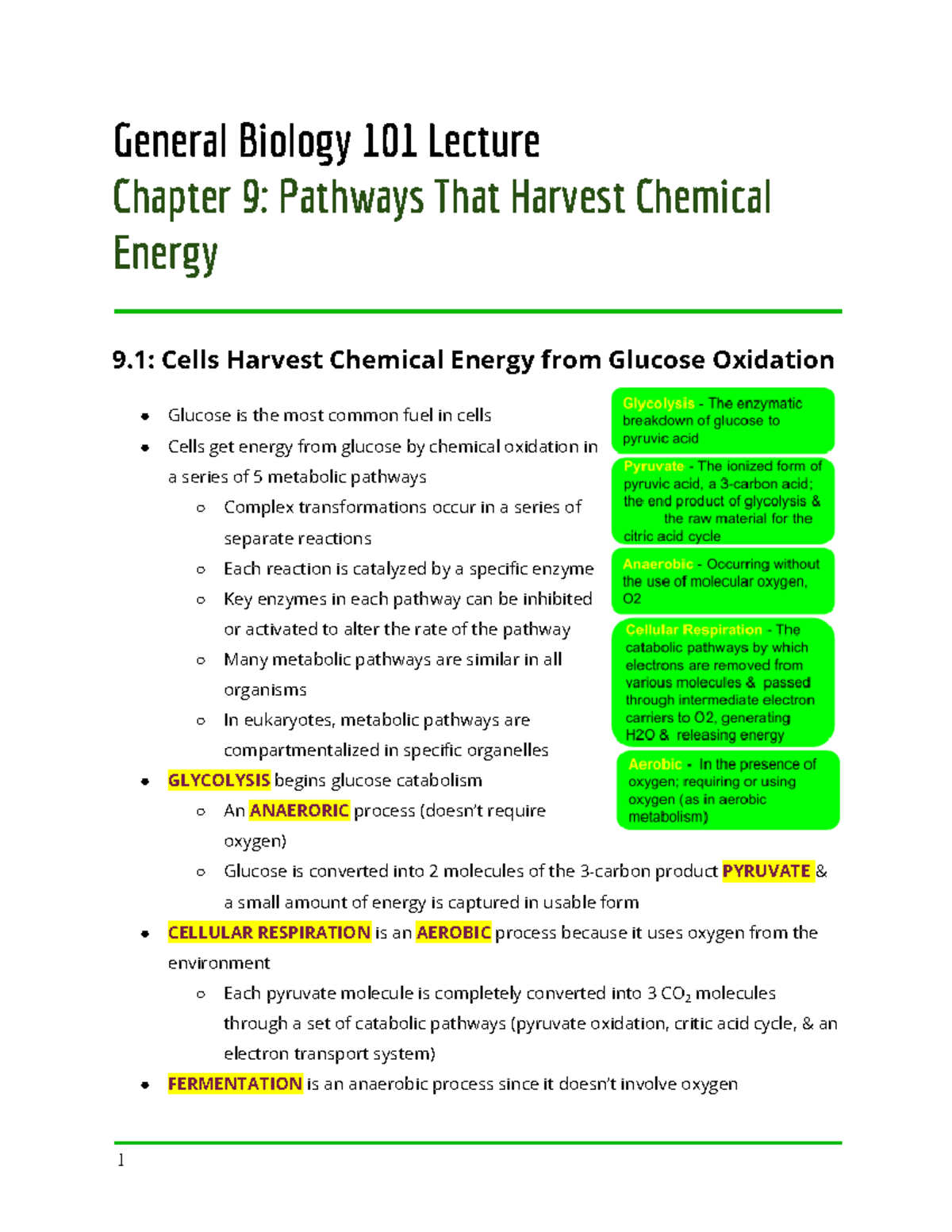 General Biology Ch.9 Notes - General Biology 101 Lecture Chapter 9 ...