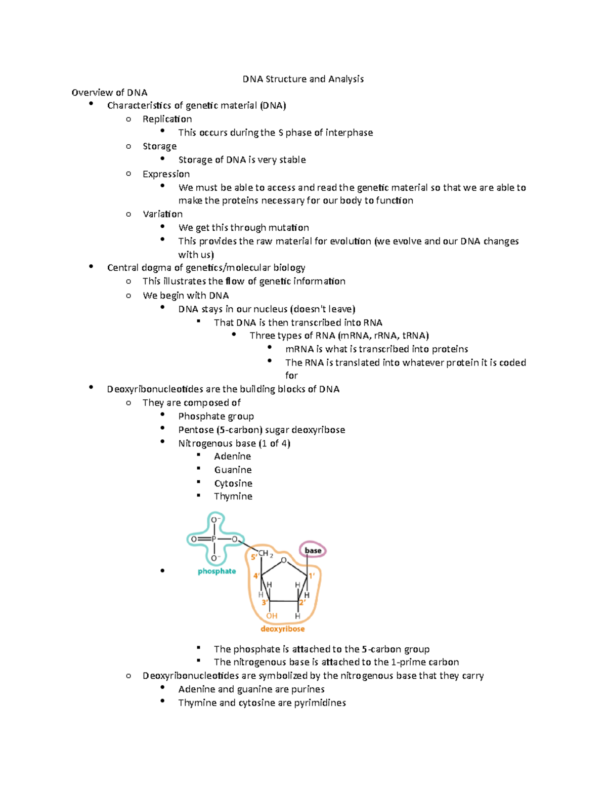 DNA Structure and Analysis - DNA Structure and Analysis Overview of DNA ...