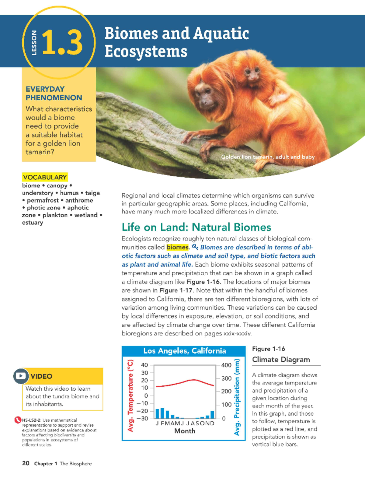 Ch1L3-Biomes adn Aquatic Ecosystems - 1 Biomes and Aquatic Ecosystems ...