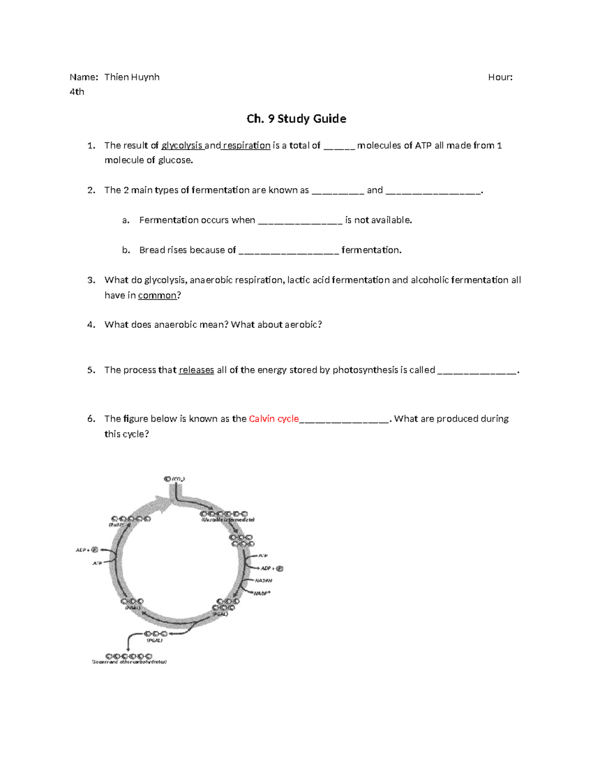 Cell Energy WS - Is a worksheet - Name: Thien Huynh Hour: 4th Ch. 9 ...