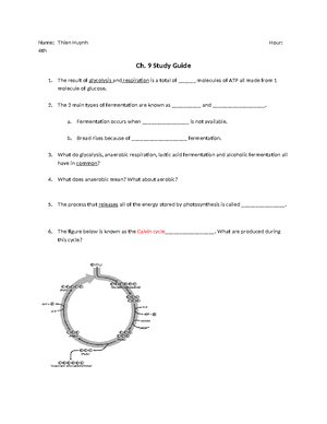 Cell Energy - IS a Cell enery worksheet - Name: Thien Huynh