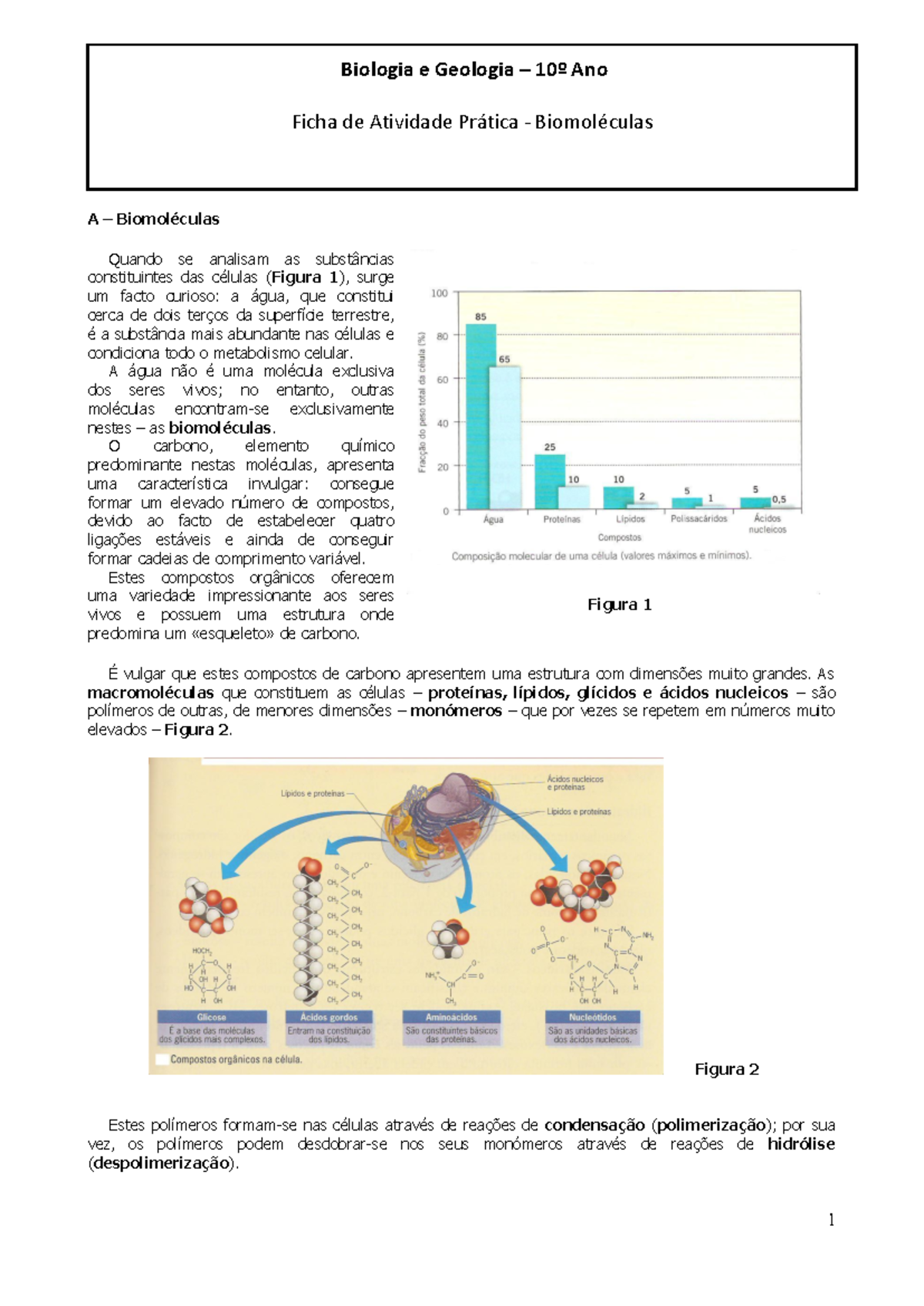 Biomoléculas em Biologia - Biologia e Geologia – 1 0º Ano Ficha de ...