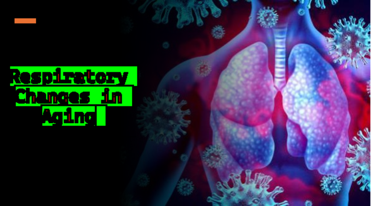 Respiratory Changes in Aging 2nd - Learning Objectives Overview of the ...