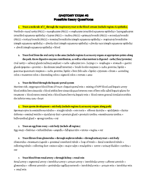 1 Regional terms used to designate specific body areas anterior or ...