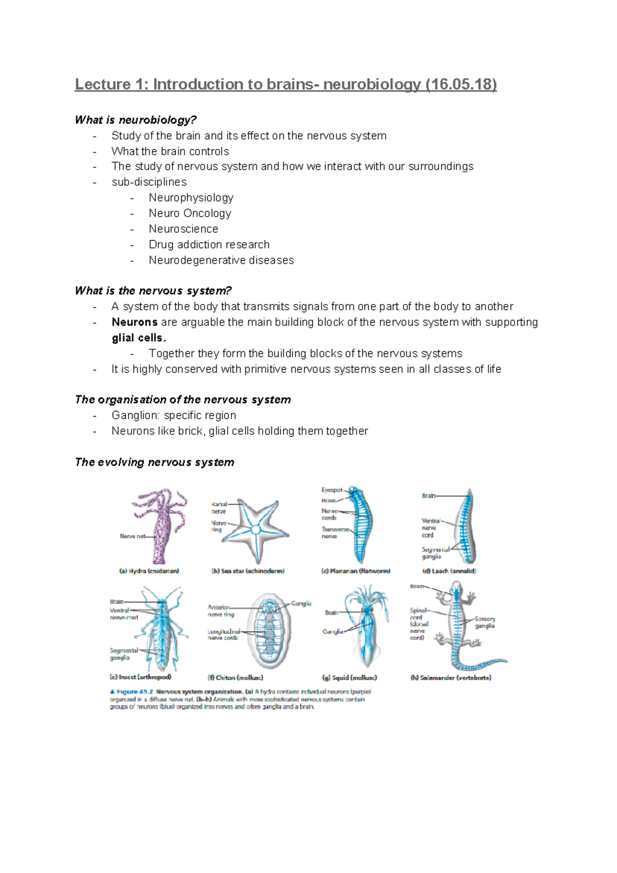 Varun's lectures- Neurobiology - Lecture 1: Introduction to brains ...