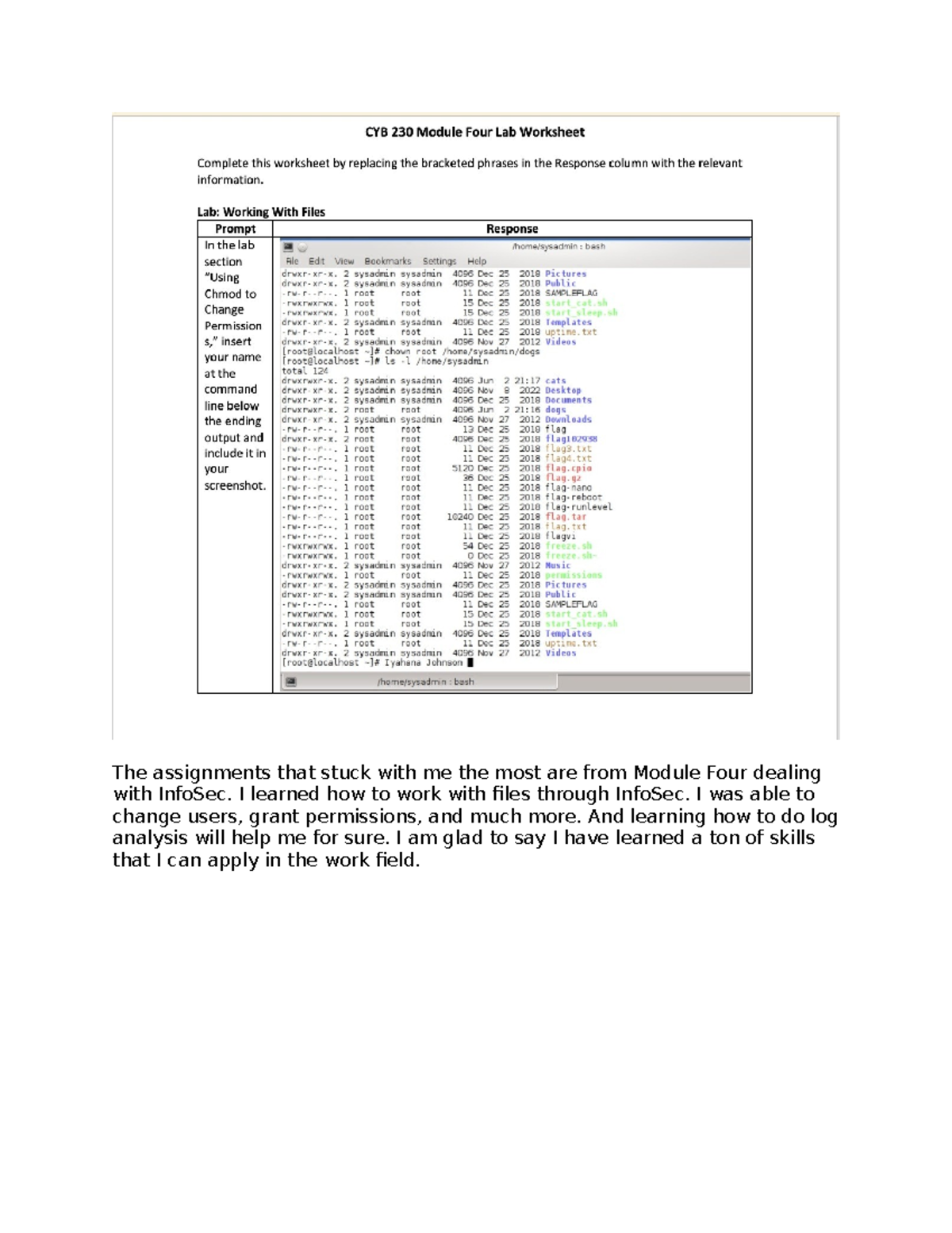 CYB 230-Cyber Playbook Submission - CYB230 - The assignments that stuck ...