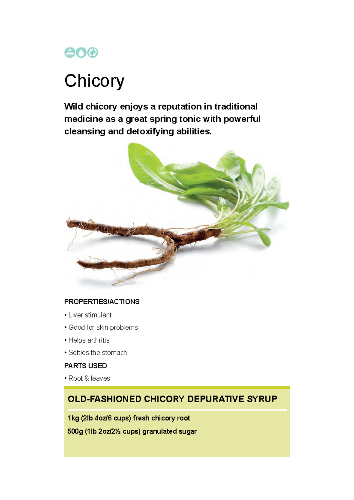 Natures Pharmacy-35 - Chicory Wild chicory enjoys a reputation in ...