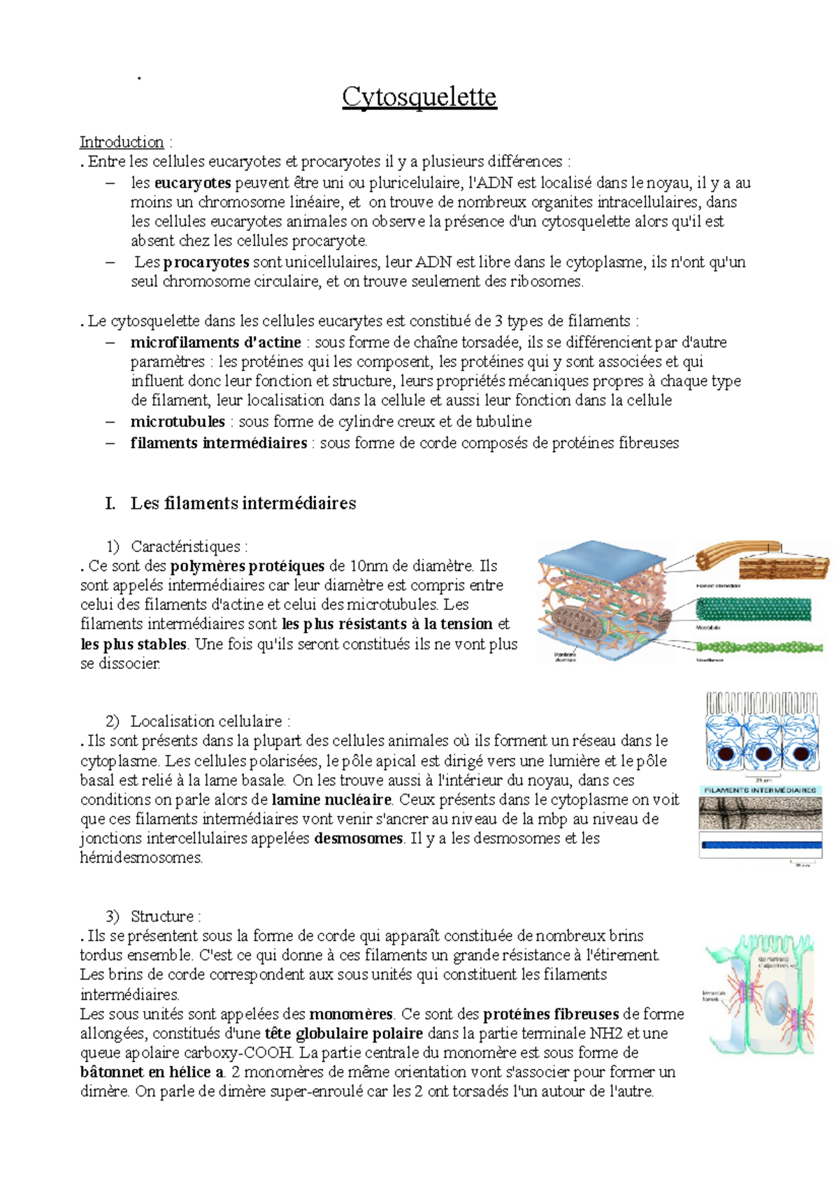 BC4 - cours de biologie cellulaire - Cytosquelette Introduction ...