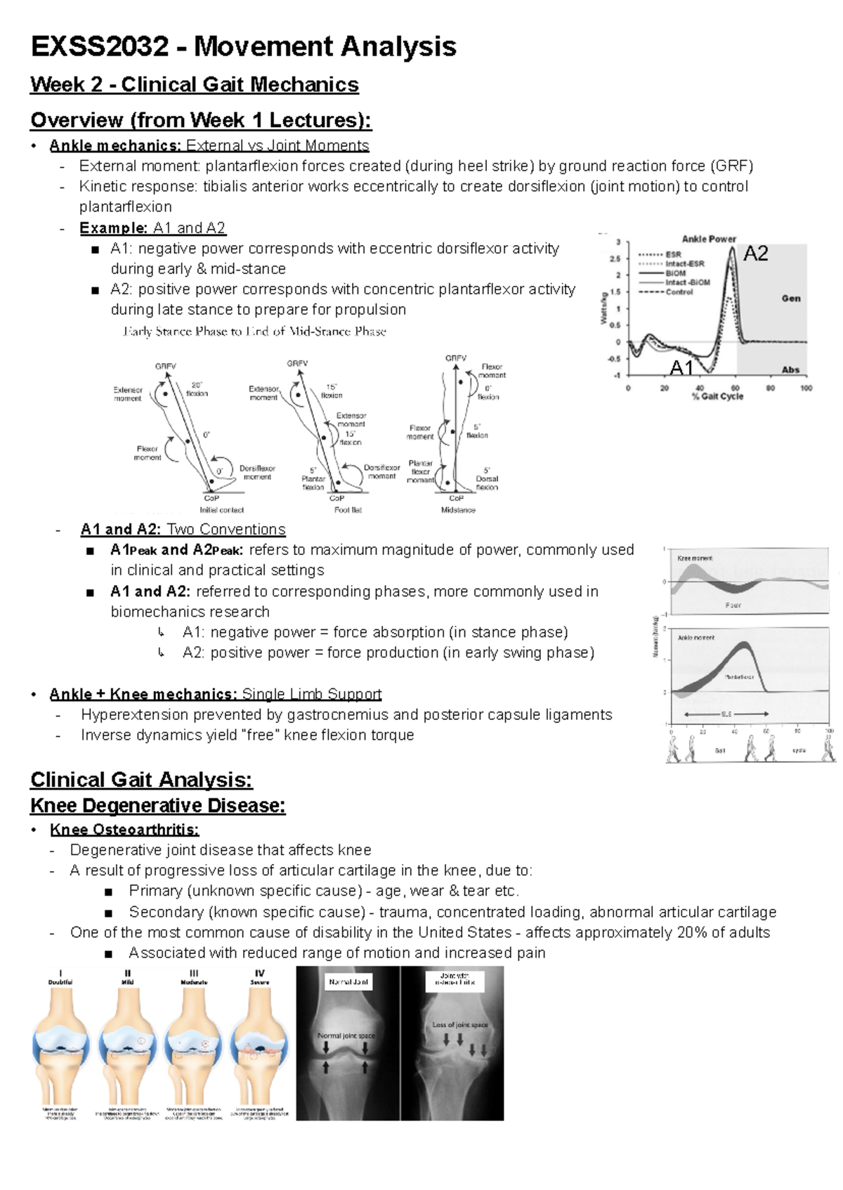 EXSS2032 - Week 2 Clinical Gait Mechanics - EXSS2032 - Movement ...