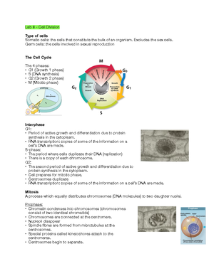 Biology Lab Exam 1 Notes - BIOLOGY LAB EXAM 1 NOTES Lab 1: Introduction ...