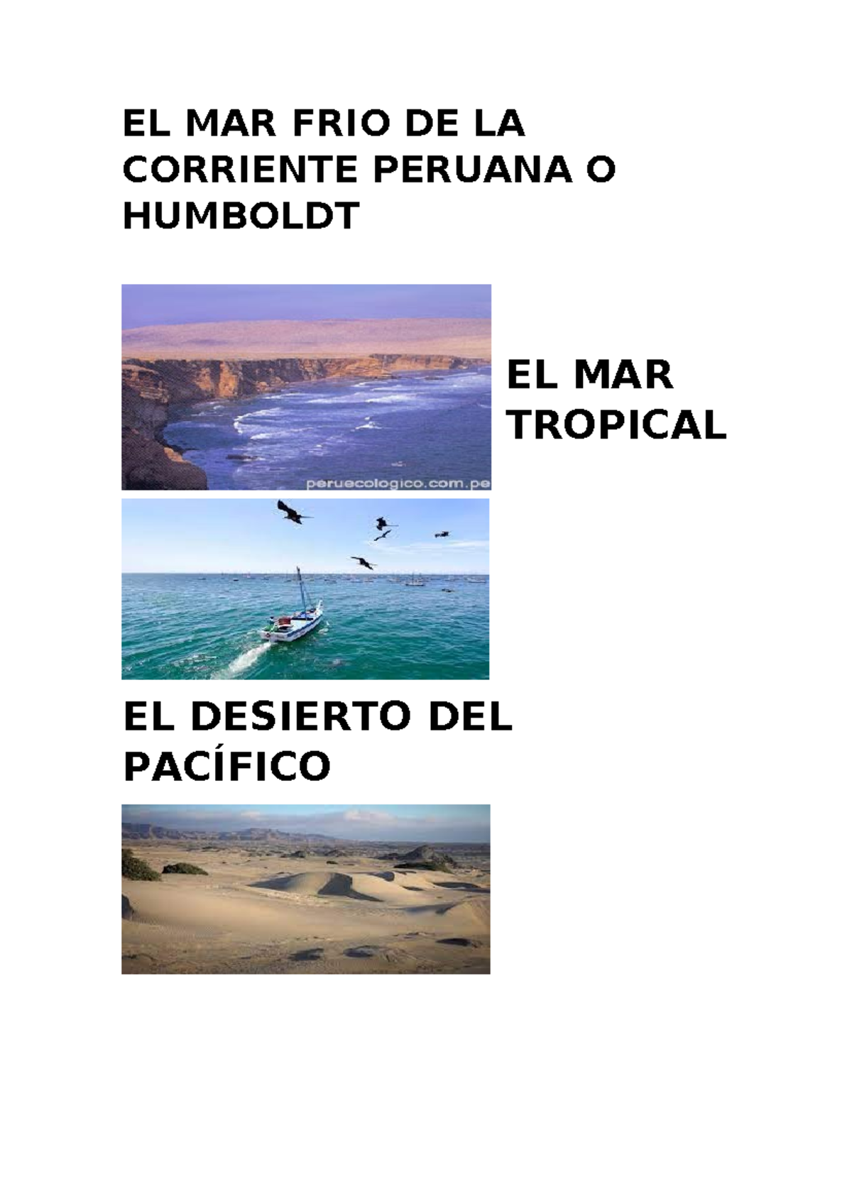 LAS 11 Ecorregiones - Educación inicial - EL MAR FRIO DE LA CORRIENTE ...