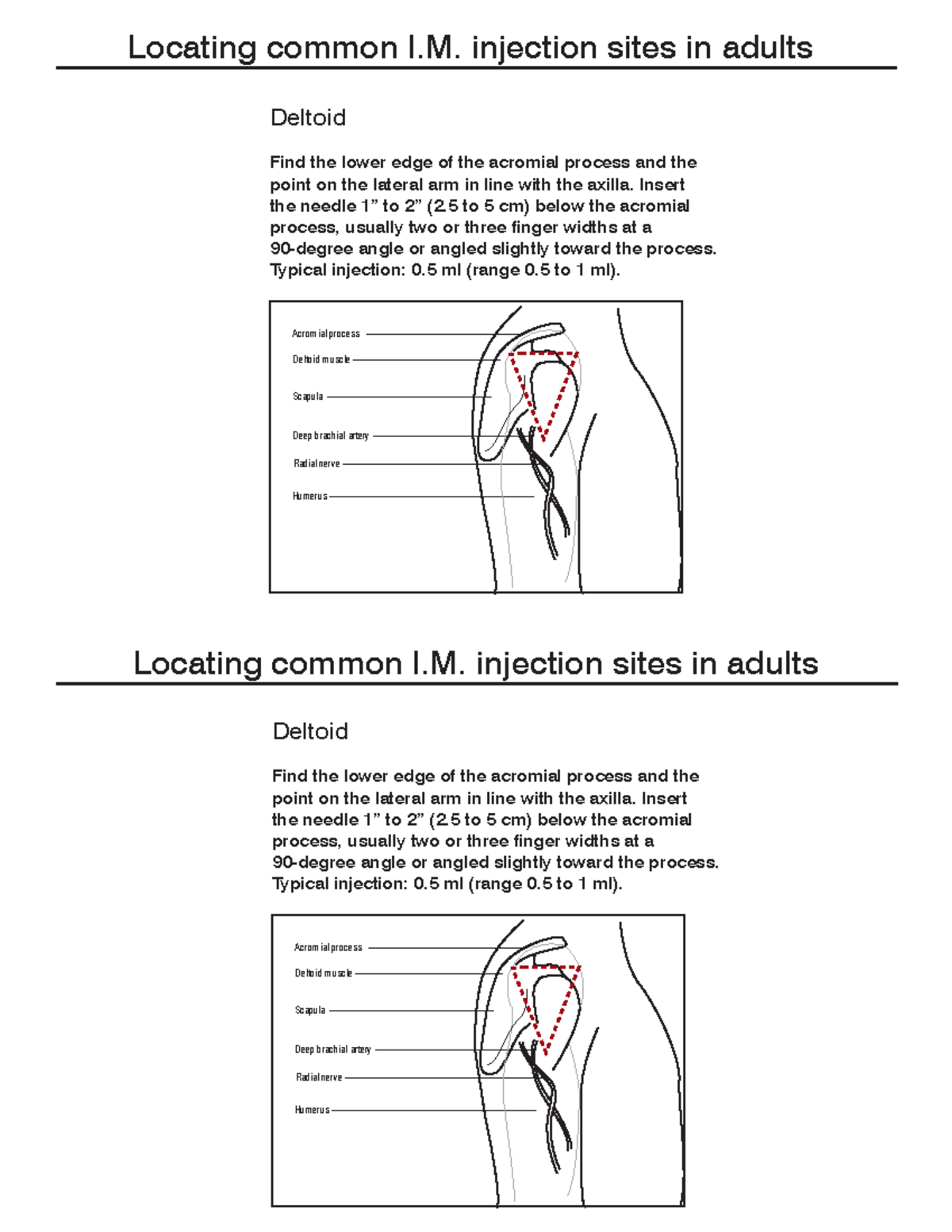 Injection Card - lecture - Deltoid Find the lower edge of the acromial ...