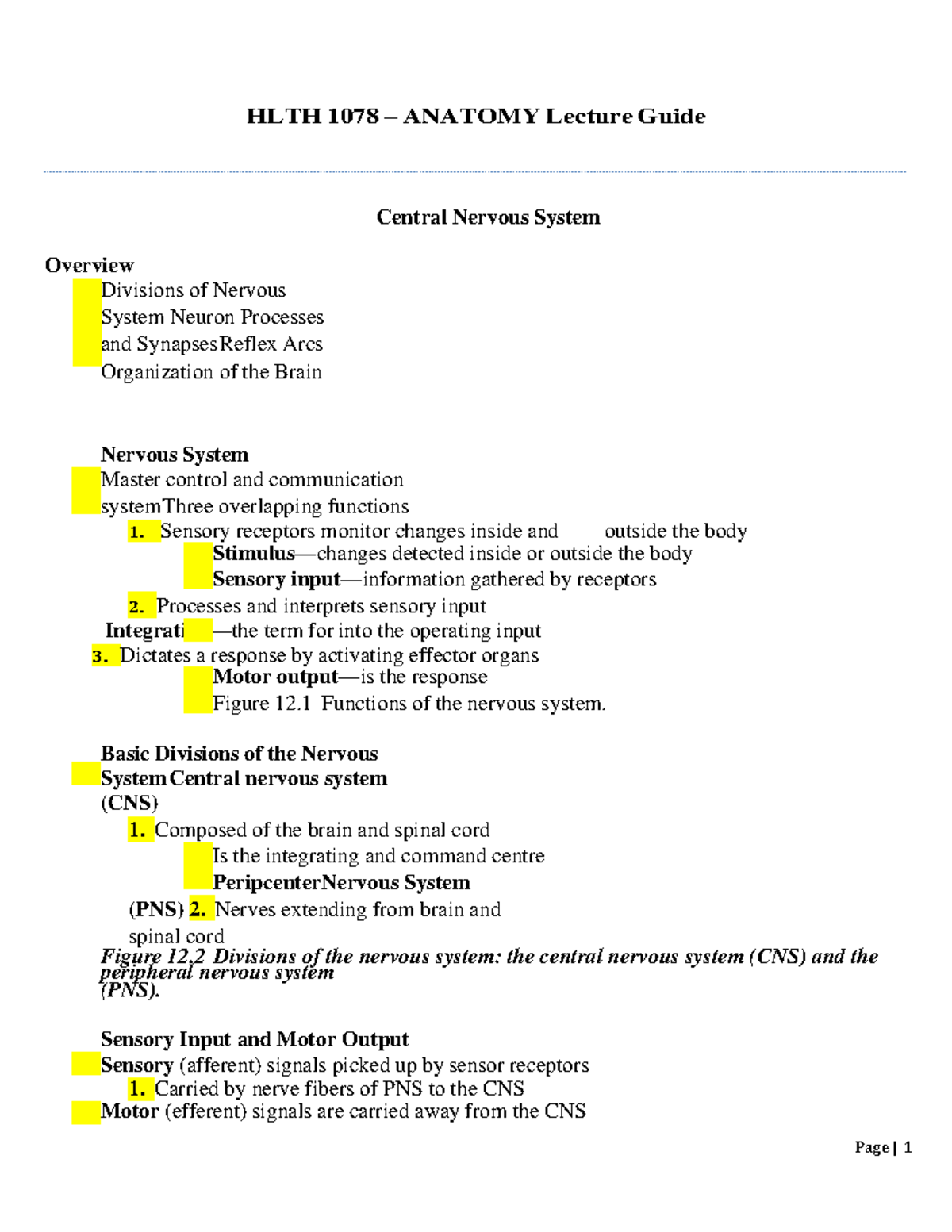 Central Nervous System Ch 12 13 Lecture Guide without blanks