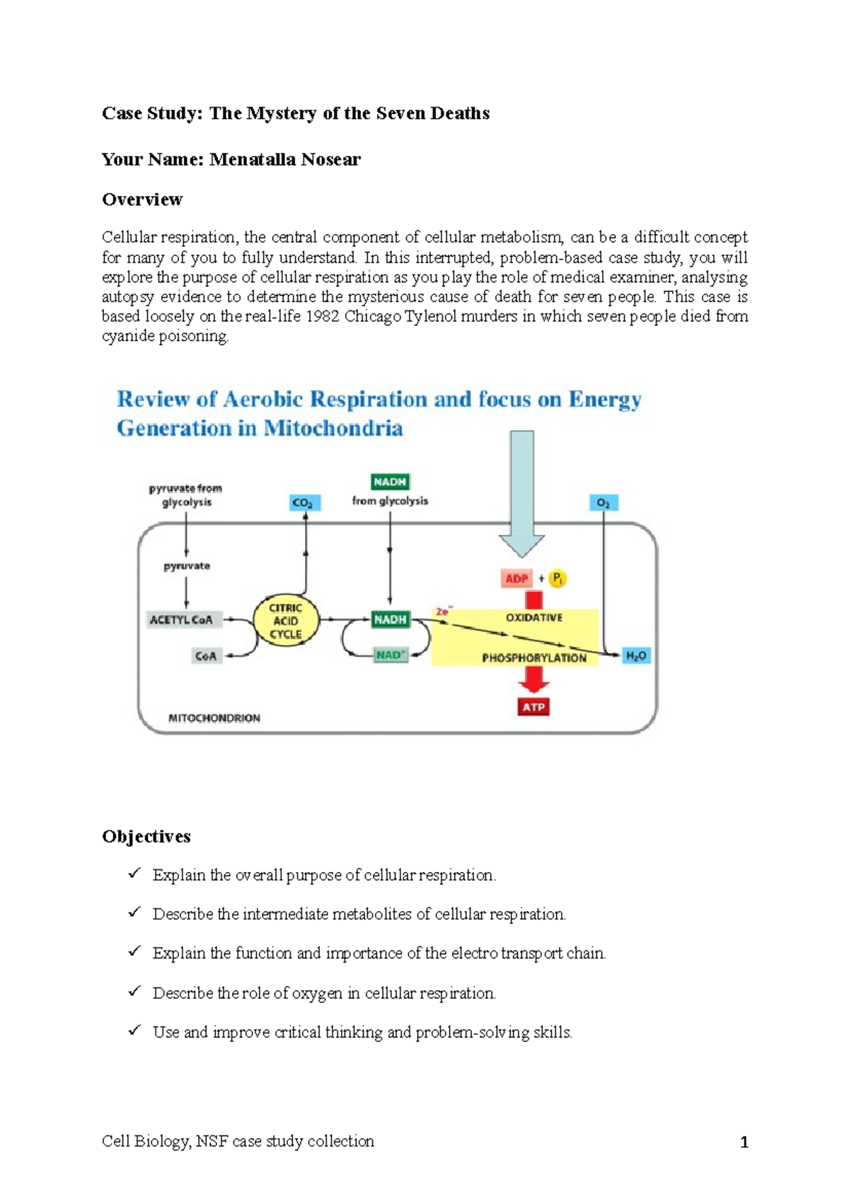 Case Study- Respiration 25 - Case Study: The Mystery of the Seven ...