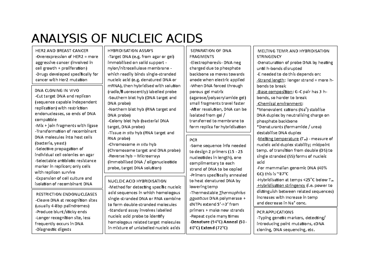 Analysis OF Nucleic Acids - ANALYSIS OF NUCLEIC ACIDS RESTRICTION ...