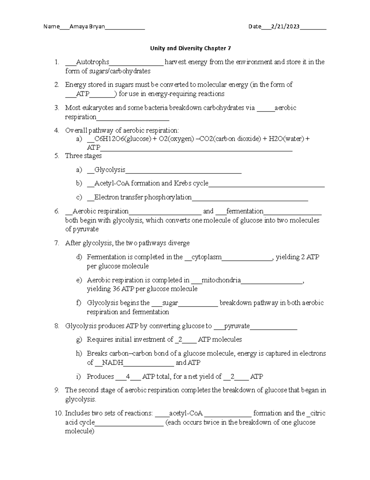 Chapter 7 Notes - Unity and Diversity Chapter 7 Autotrophs ...