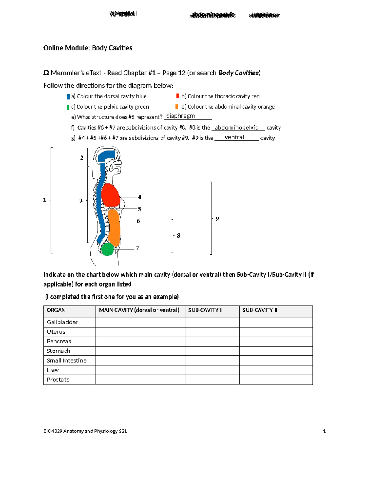 Online Module Body Cavities (WK 1 Module 1) - Online Module; Body ...