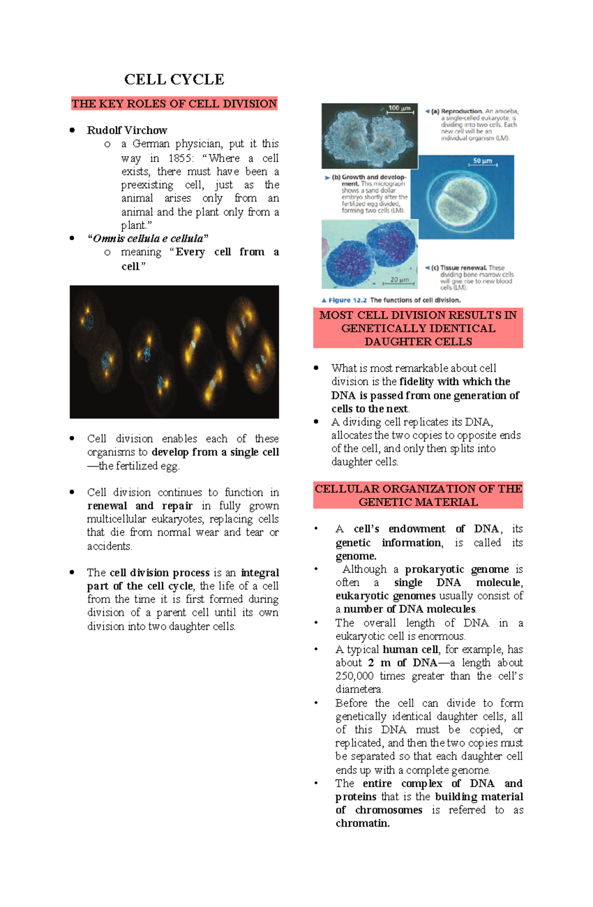 Notes 4 CELL Cycle - Cell - CELL CYCLE THE KEY ROLES OF CELL DIVISION ...
