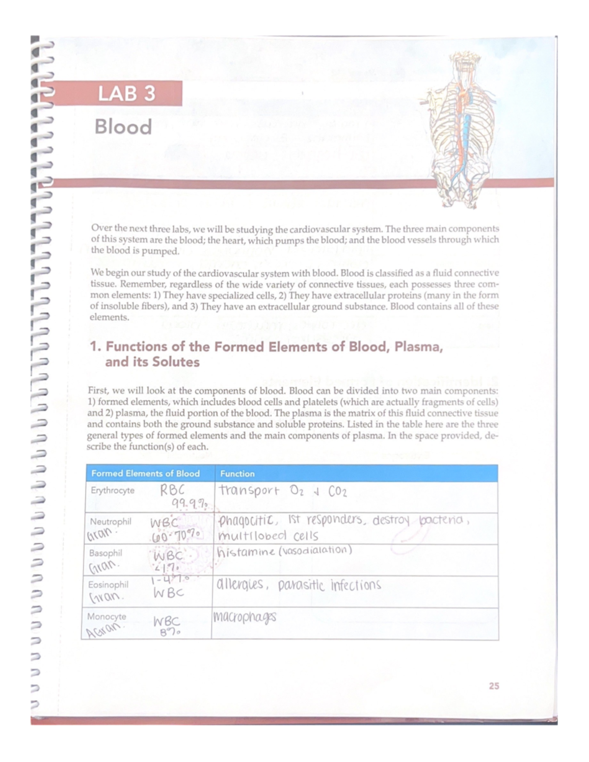 LAB 3- Blood and Typing - BIOL 292 - Studocu