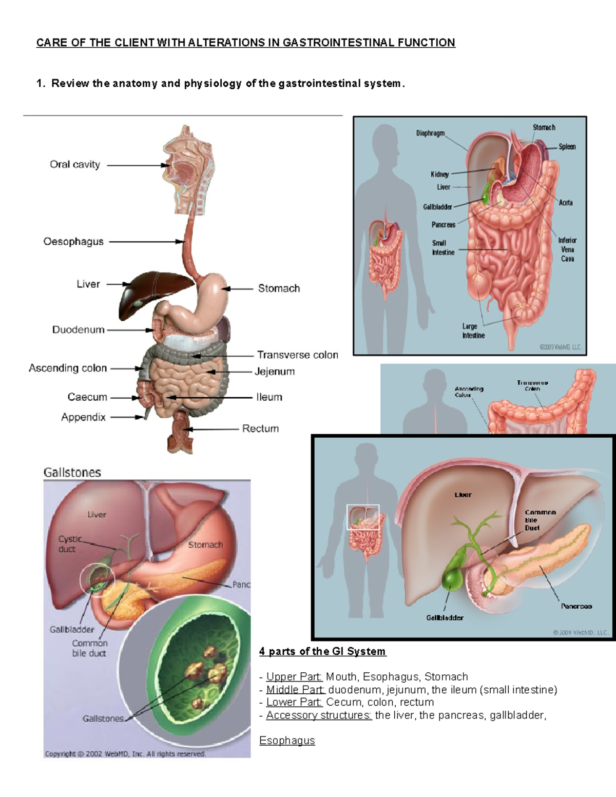 GI competency - science - CARE OF THE CLIENT WITH ALTERATIONS IN ...