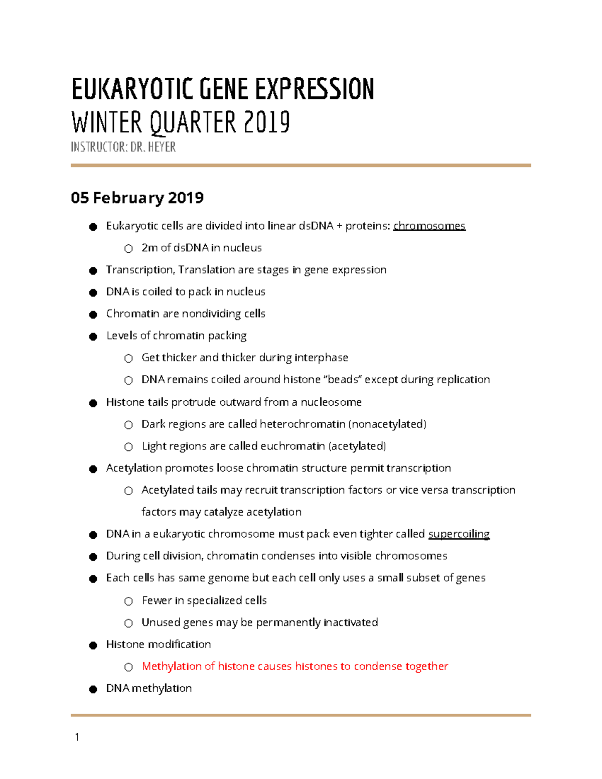 BIO6B Eukaryotic Gene Expression Notes - EUKARYOTIC GENE EXPRESSION ...