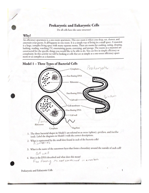 Collin College BIOL 1408 Exam 1 Review - Review questions: Exam I (Use ...