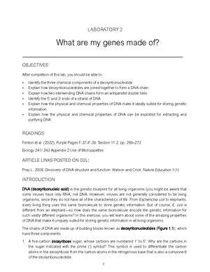 Reproductive System Flow Chart - BIOL 243 - Studocu
